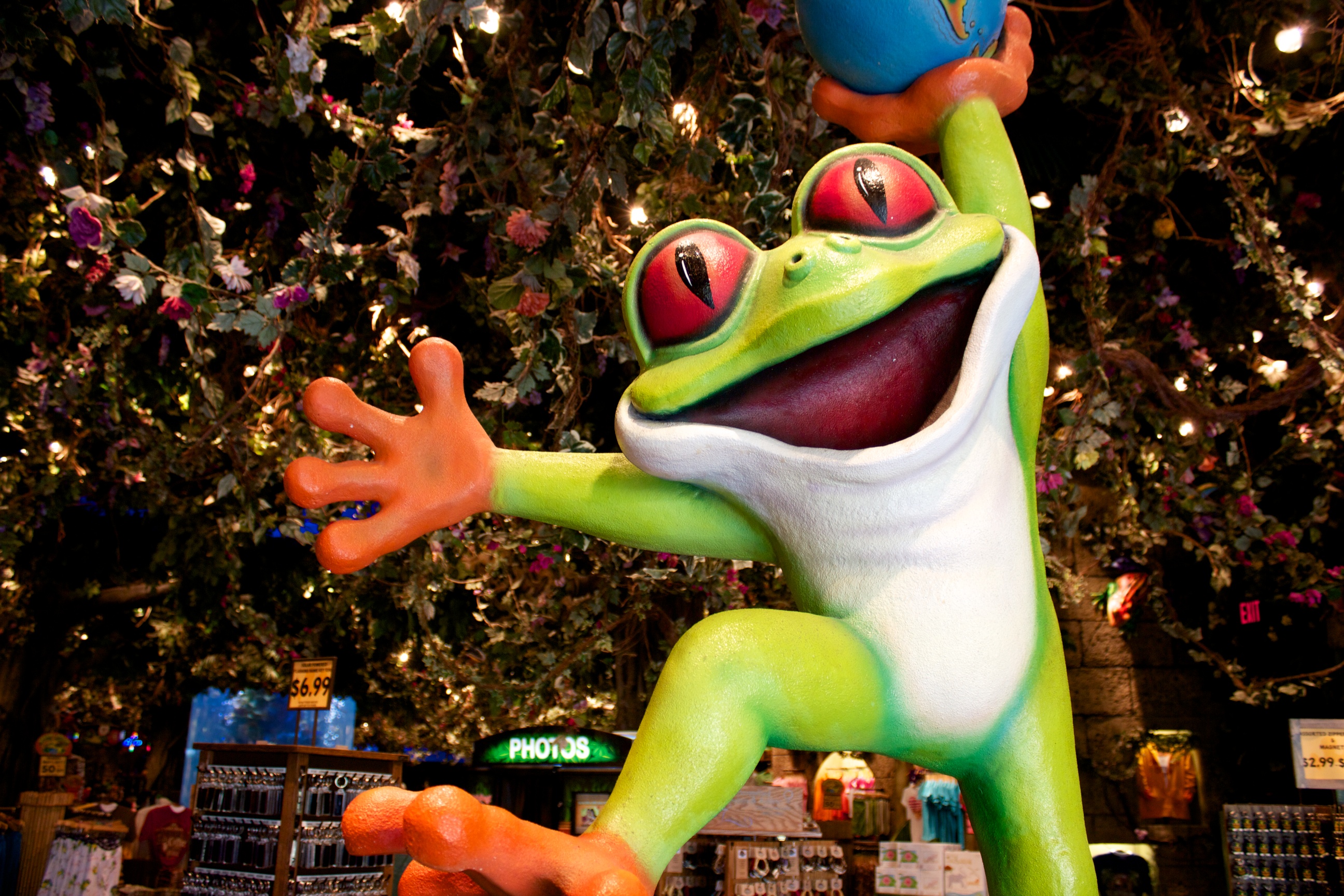 Rainforest Cafe - Animal Kingdom