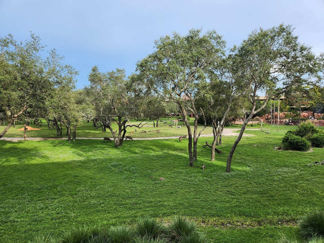 Room 3327 at Disney's Animal Kingdom Lodge (Jambo House)