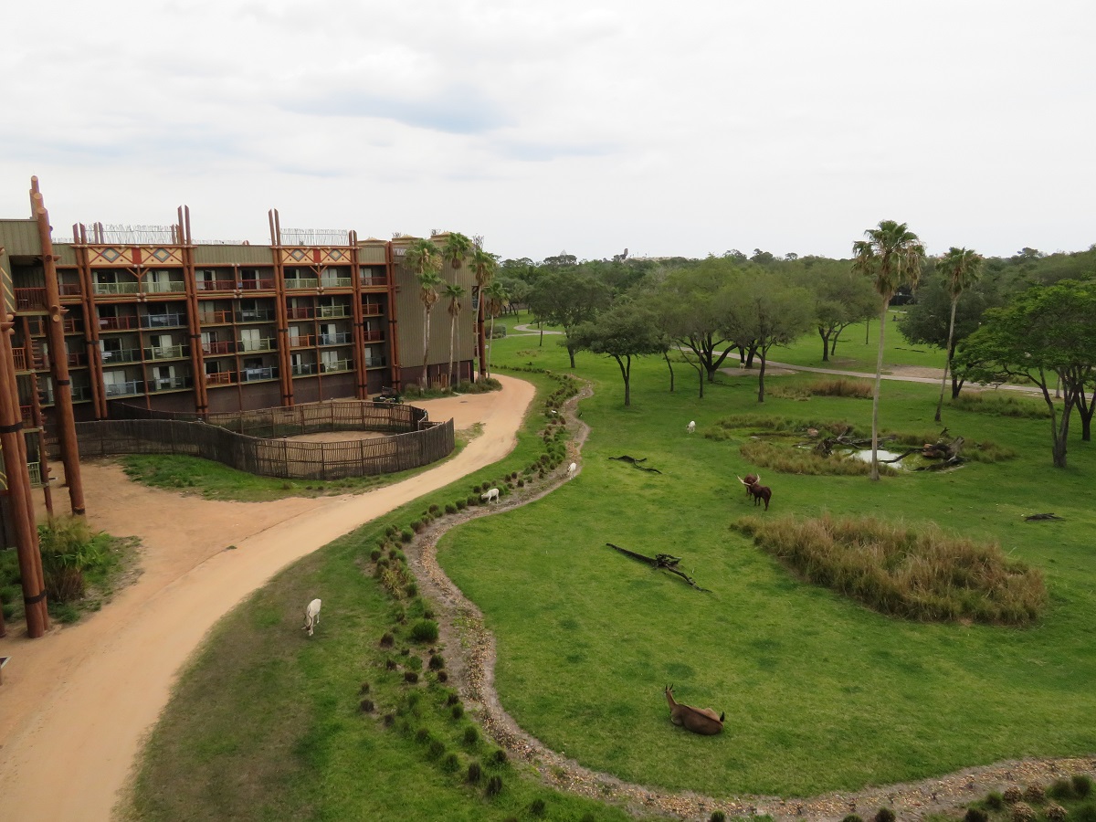 Room 5457 at Disney's Animal Kingdom Lodge (Jambo House)